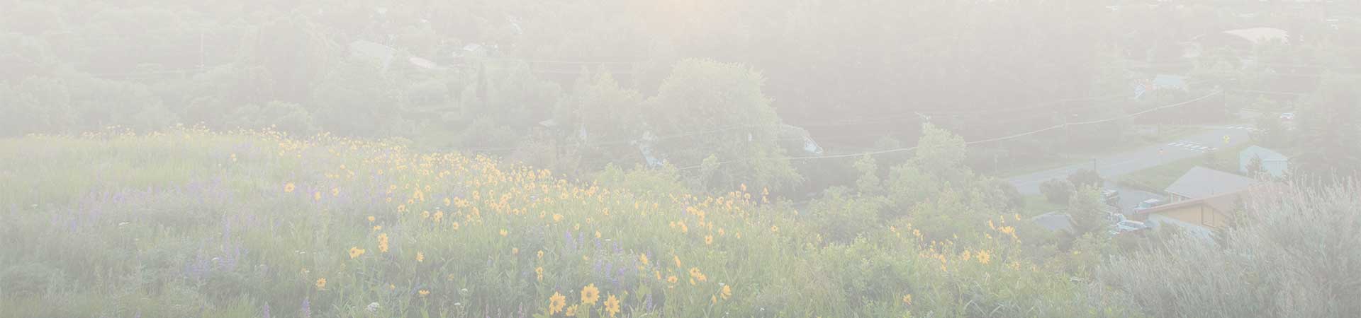 Contact Us - Crowley Fleck